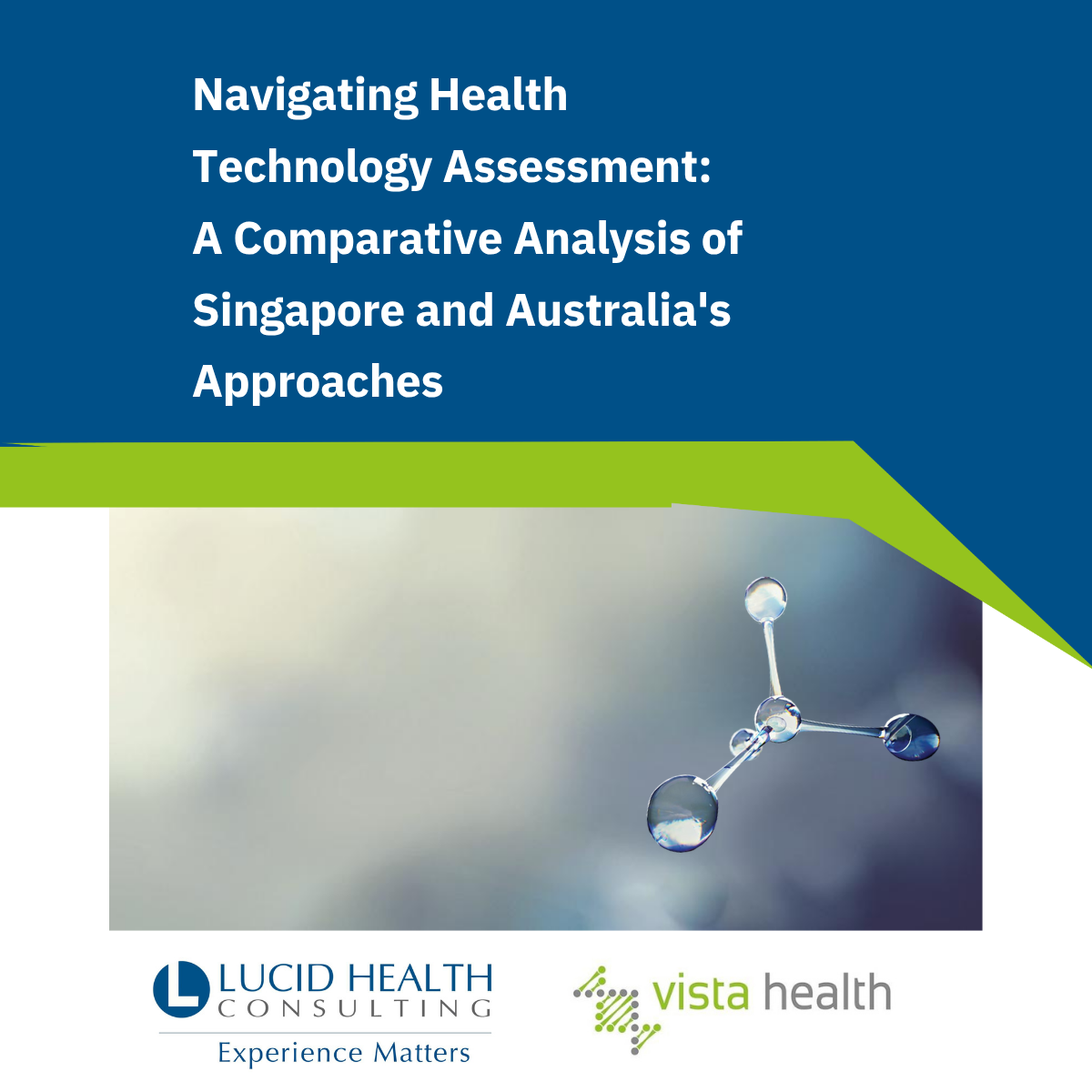 Navigating HTA Assessment: A Comparative Analysis of Singapore and ...